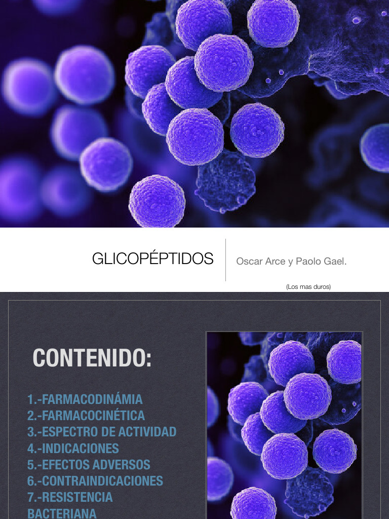 Glicopéptidos: Farmacología y Usos | PDF