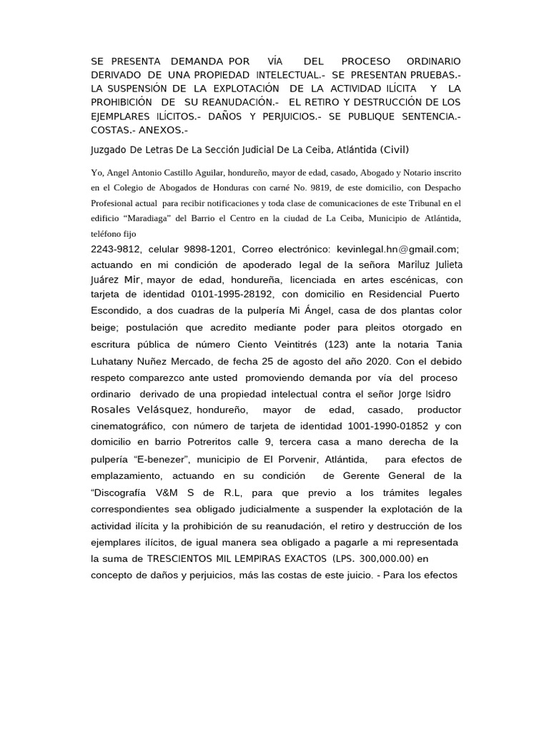 Demanda Angel Castillo Corregida | PDF | Honduras | Justicia