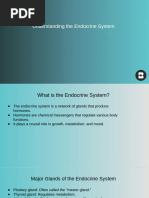 Endocrine System Worksheet | PDF | Endocrine System | Hormone