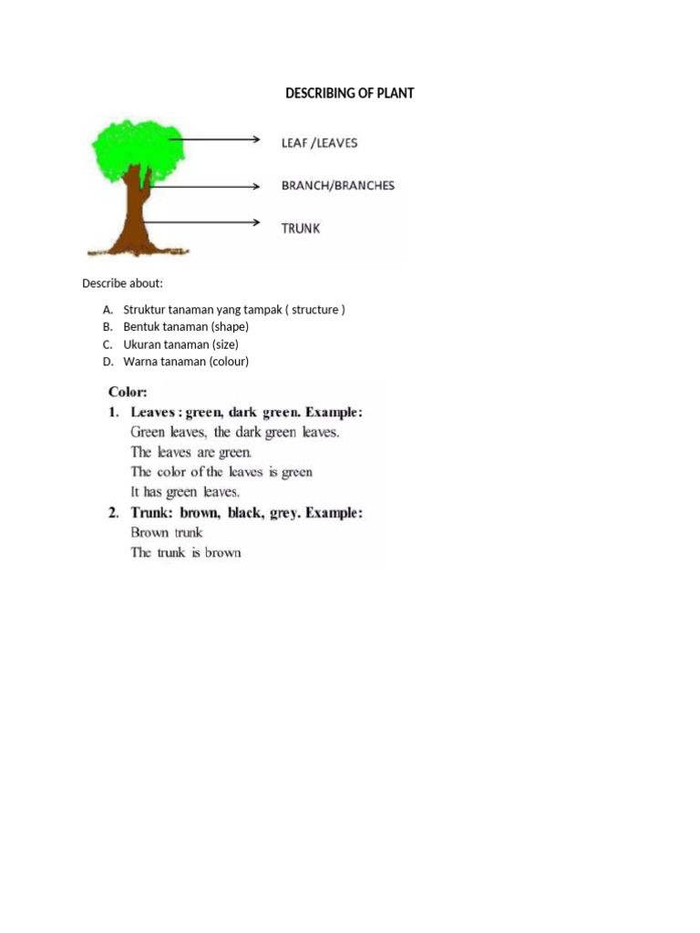 Describing of Plant | PDF