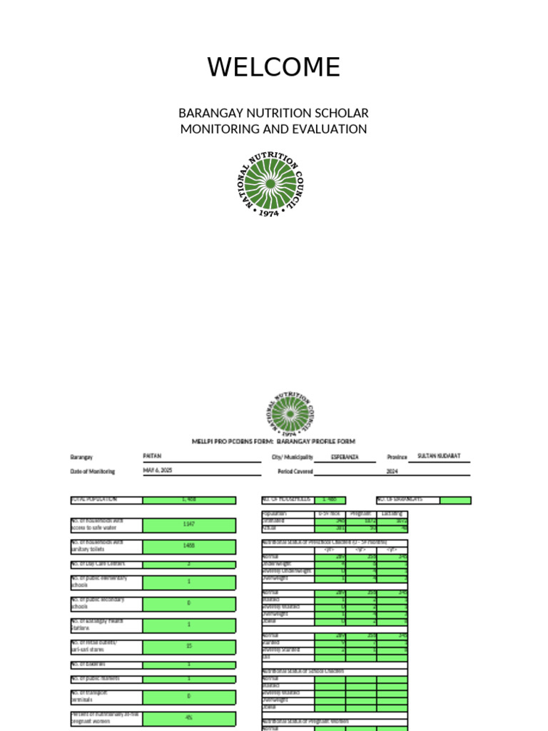 Brgy. Paitan 2024 Mellpi Pro Form For Pcobns | PDF | Malnutrition ...