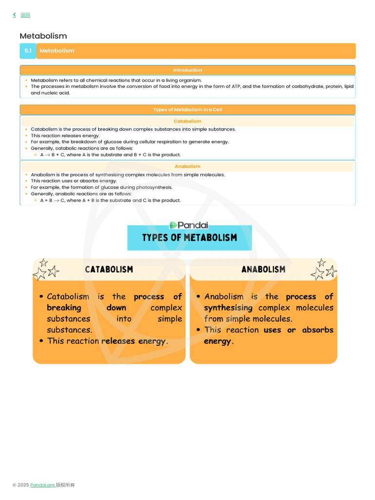 5 Metabolism and Enzymes | PDF | Enzyme | Metabolism
