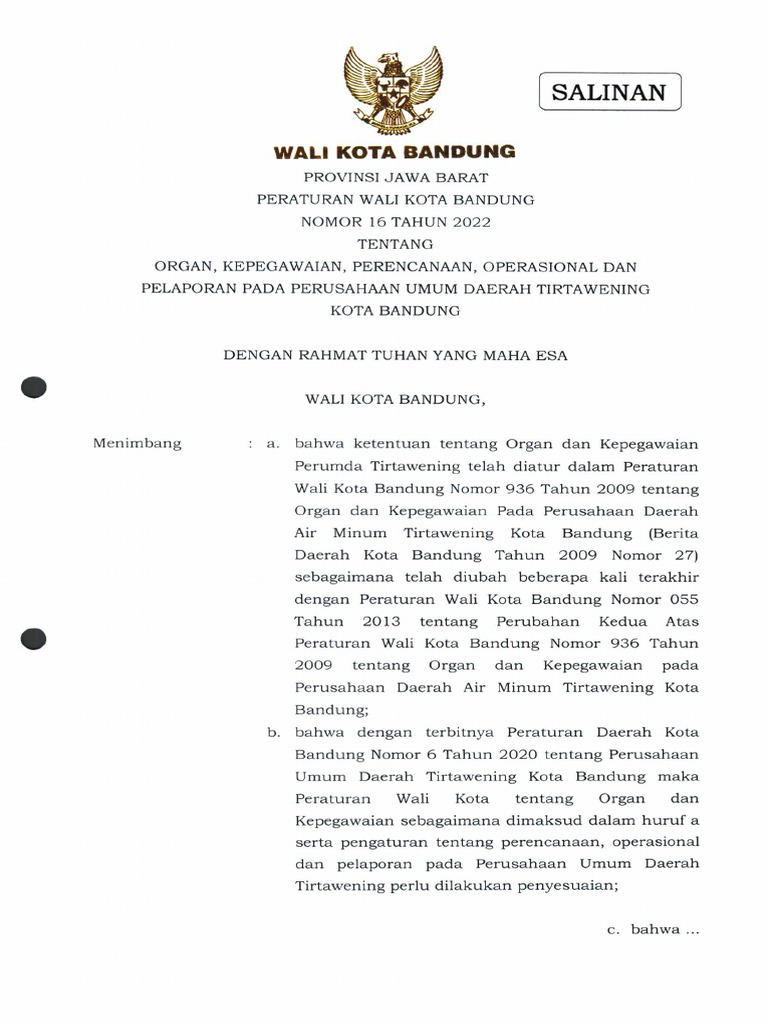 SLN PERWAL 16 TAHUN 2022 TTG Organ PDAM | PDF