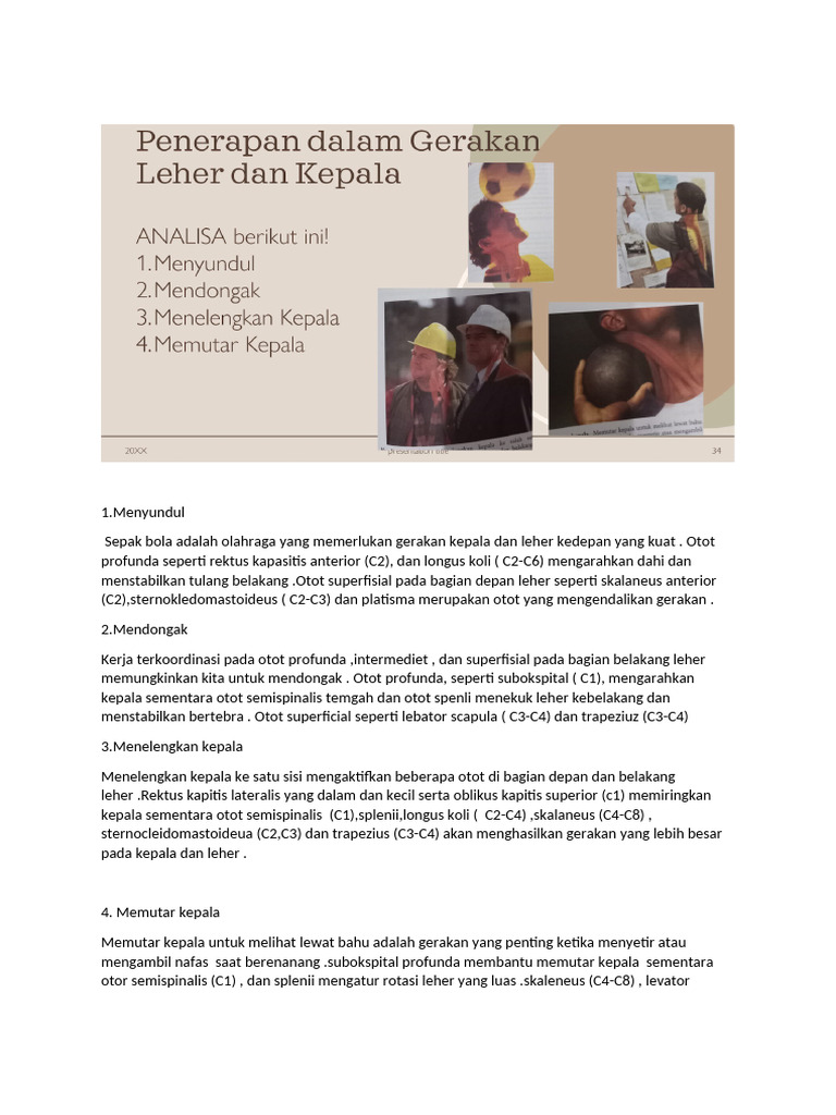 Eunike Diva Dinar PPT Anatomi | PDF