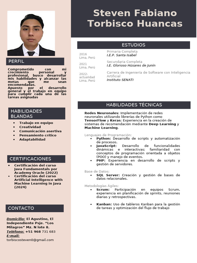 Curriculum Steven 2025 | PDF | Programación orientada a objetos | Desarrollo de software