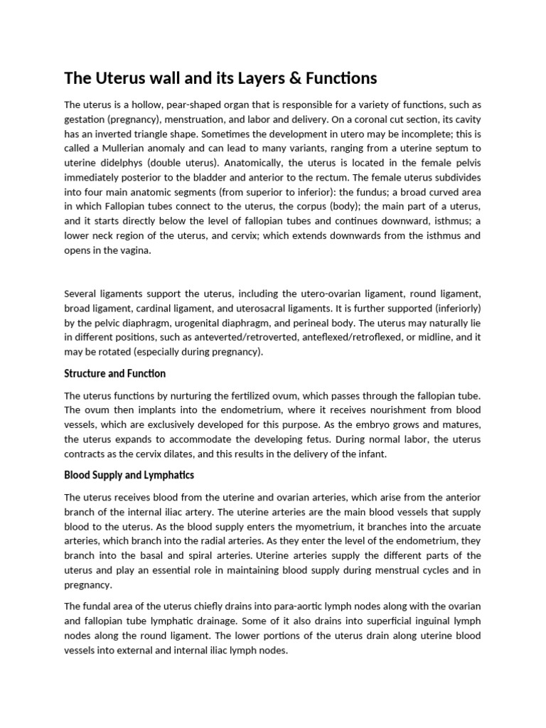 FRS - The Uterus Wall and Its Layers | PDF | Uterus | Female Mammals