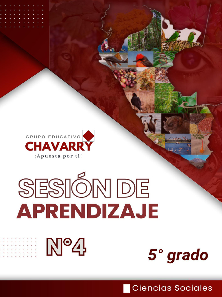 Sesión N°4 - 5° GRADO - CCSS | PDF | Sustentabilidad | Aprendizaje