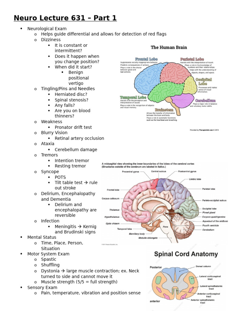 Neurological Examination Components | PDF | Nervous System ...