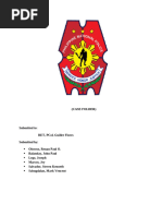 Case Folder (Murder) | PDF | Affidavit | Prosecutor