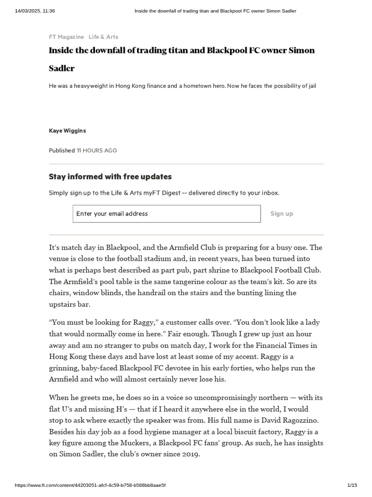 Simon Sadler's Fall from Grace | PDF | Stocks | Hedge (Finance)