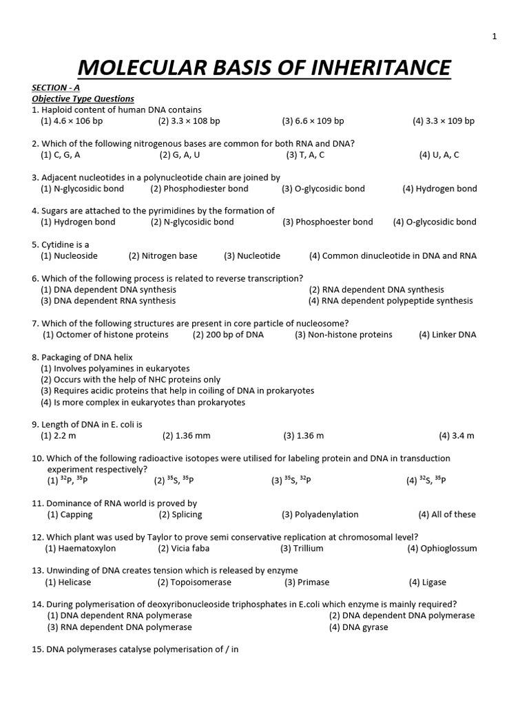 Molecular Inheritance Quiz Questions | PDF | Gene | Dna