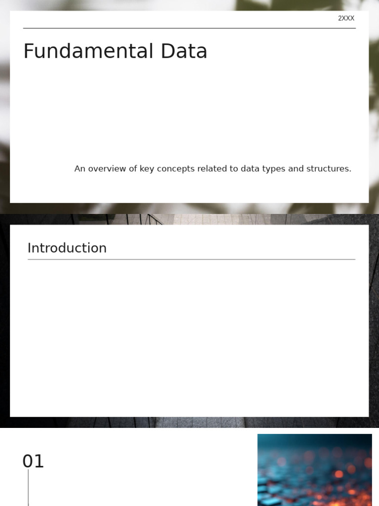 Fundamental Data | PDF
