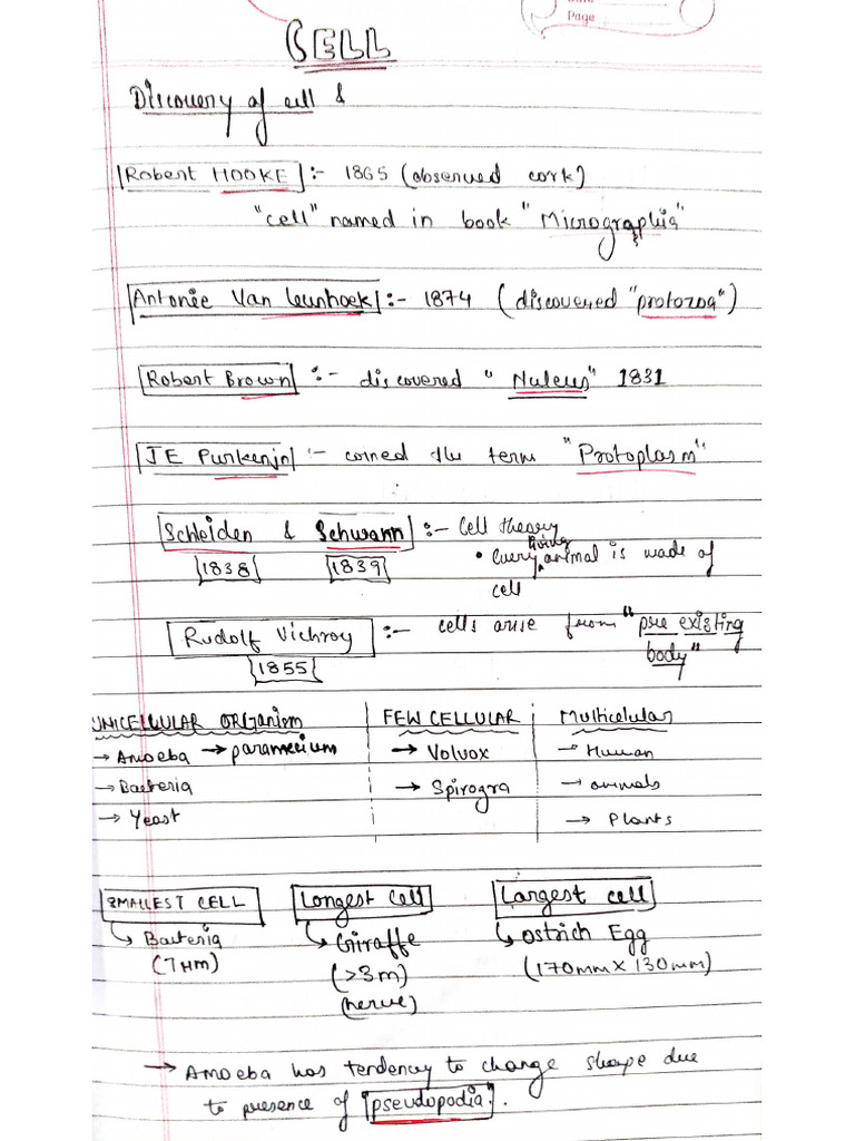 Cell Short Notes | PDF