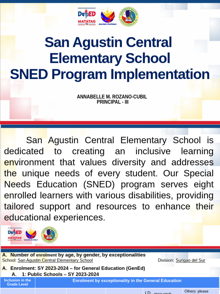 Saces Sned Implementing Program 2024 2025 | PDF | Learning