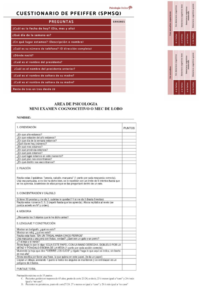 Escala Lobo y Pfeifeer | PDF