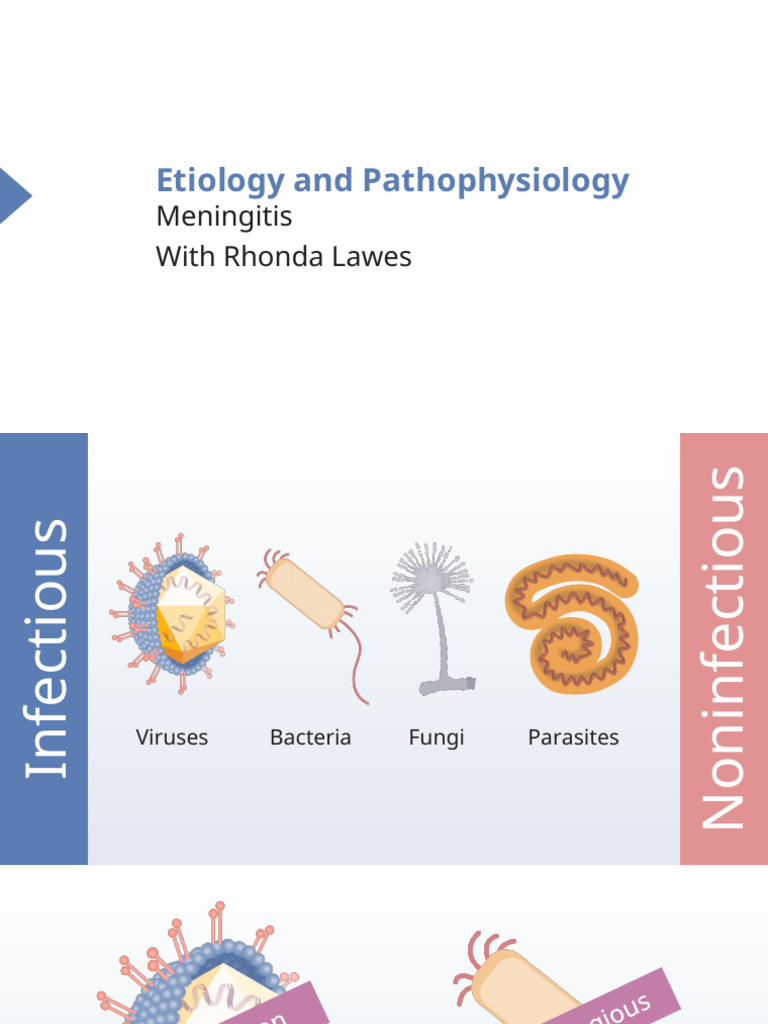 Slides Meningitis Etiology and Pathophysiology Nursing | PDF