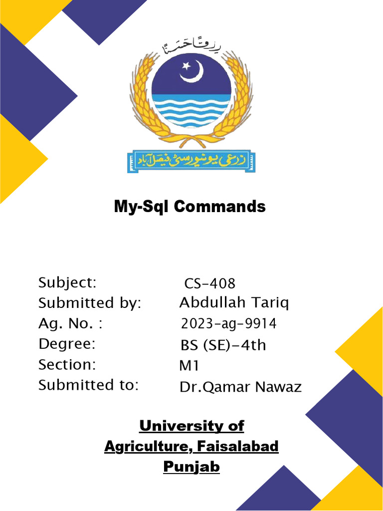 Mysql Name Degree Section | PDF