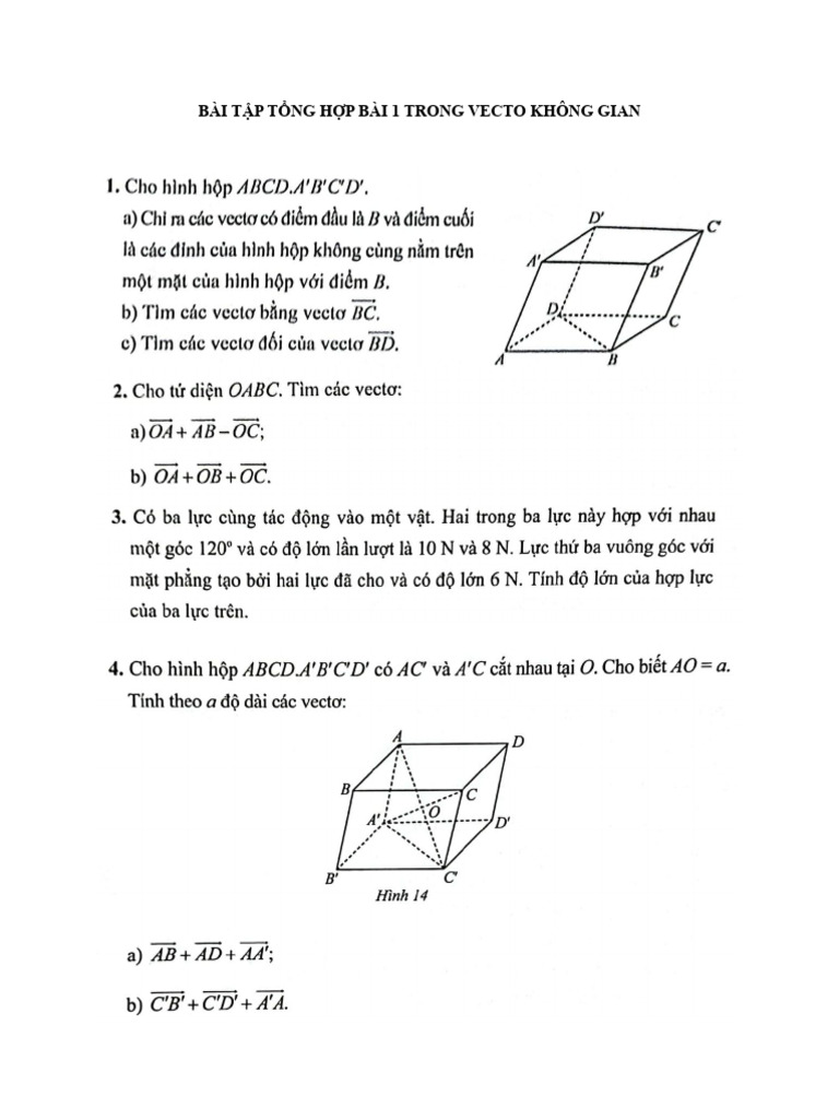Bài Tập Ttổng Hợp Trong Vecto Không Gian | PDF