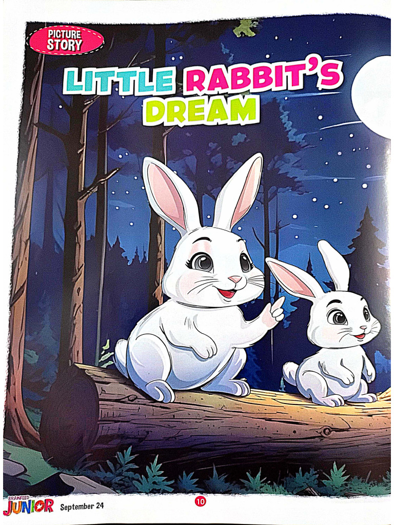 Little Rabbit's Dream | PDF