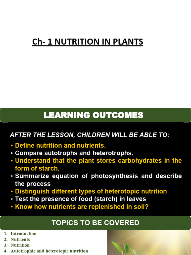 CH - Nutrition in Plants | PDF | Nutrition | Diet & Nutrition