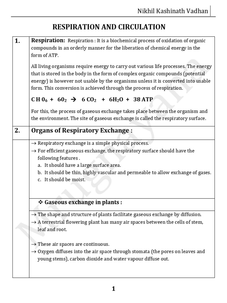 Respiration and Circulation 2 | PDF | Respiratory Tract | Lung
