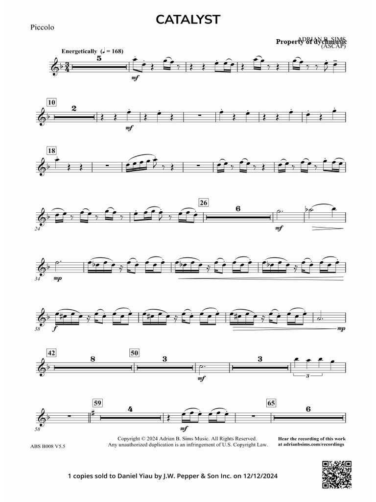 01 - Catalyst Piccolo | PDF