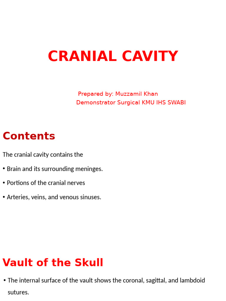 Cranial Cavity (Fossas) | PDF | Skull | Primate Anatomy