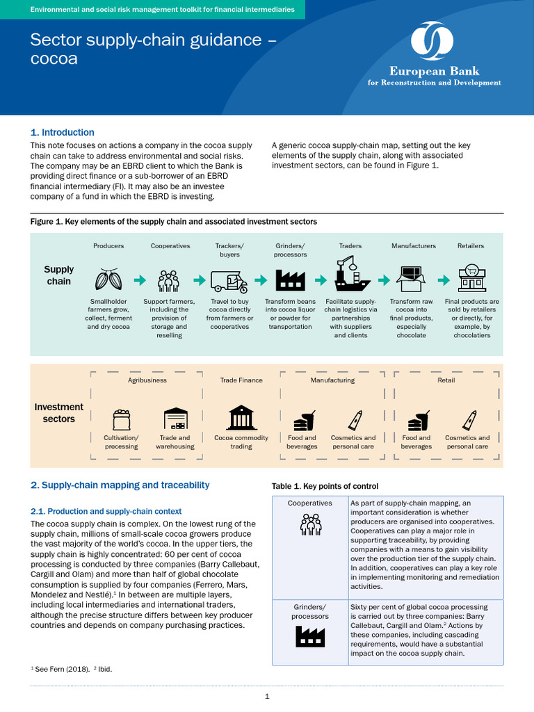 Swissco Cocoa Supply Chain Insights | PDF | Cocoa Bean | Supply Chain