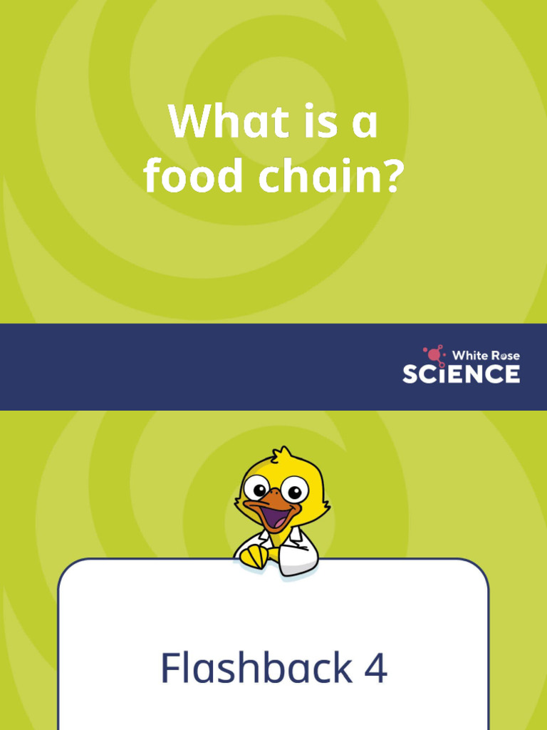 Y4 Summer Block 5 TS1 What Is A Food Chain | PDF | Foods | Predation