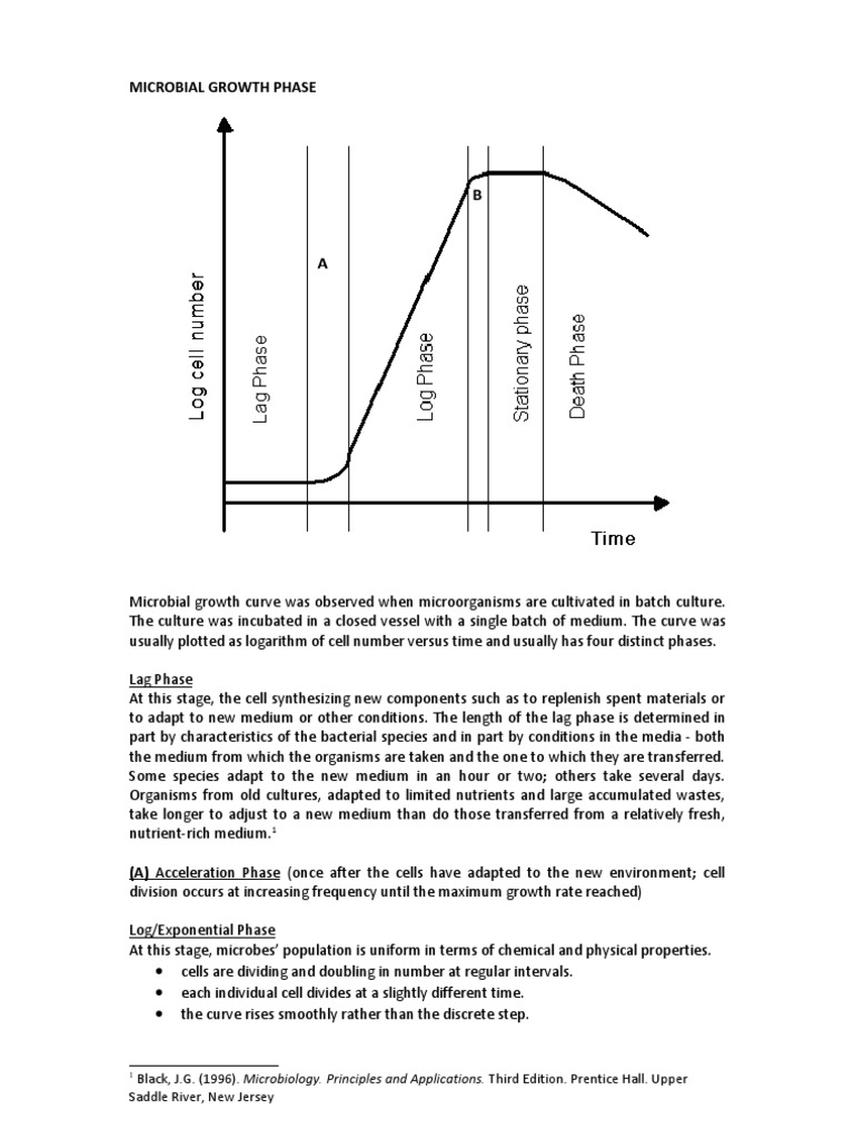 Microbial Growth Phase | Download Free PDF | Microorganism | Biology