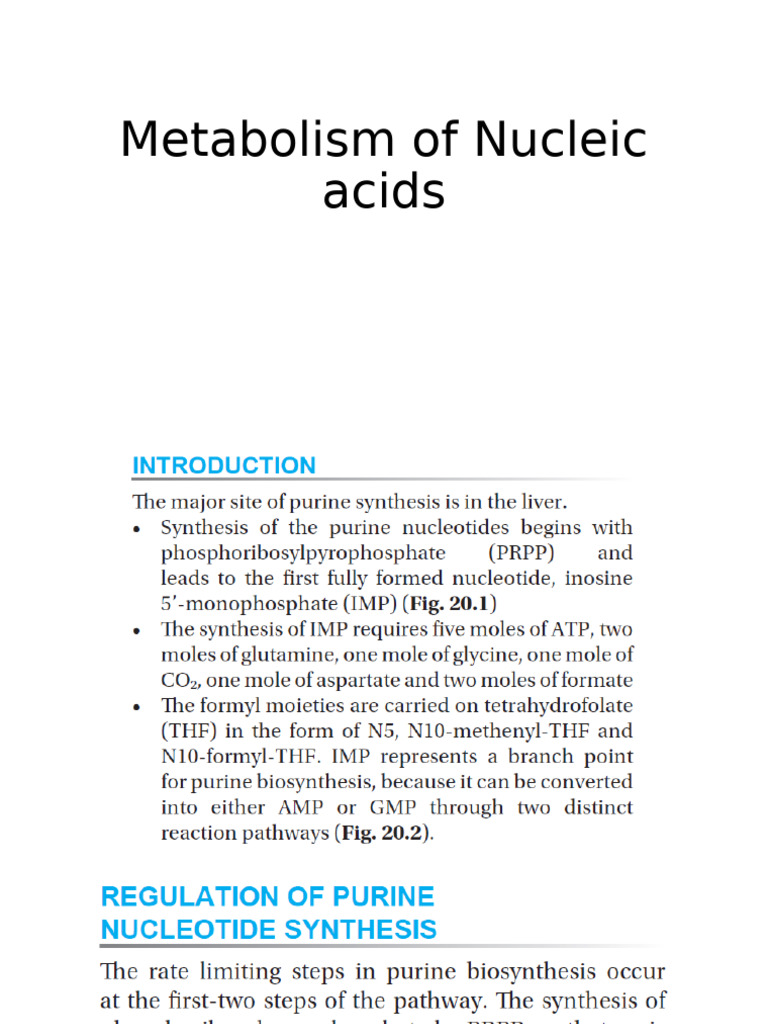 Metabolism of Nucleic Acids | PDF