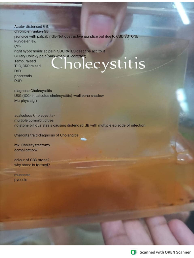 Surgery Specimen Modified | PDF