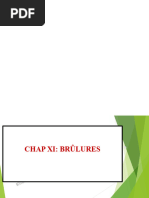 Évaluation des Brûlures : Règle de Wallace | PDF