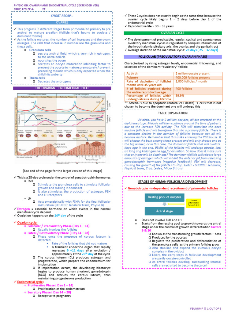 Ovarian and Endometrial Cycle Overview | PDF | Menstrual Cycle ...
