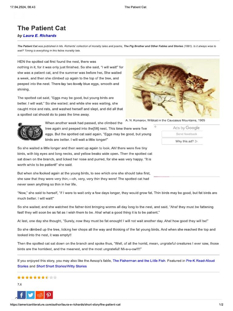 The Patient Cat | PDF