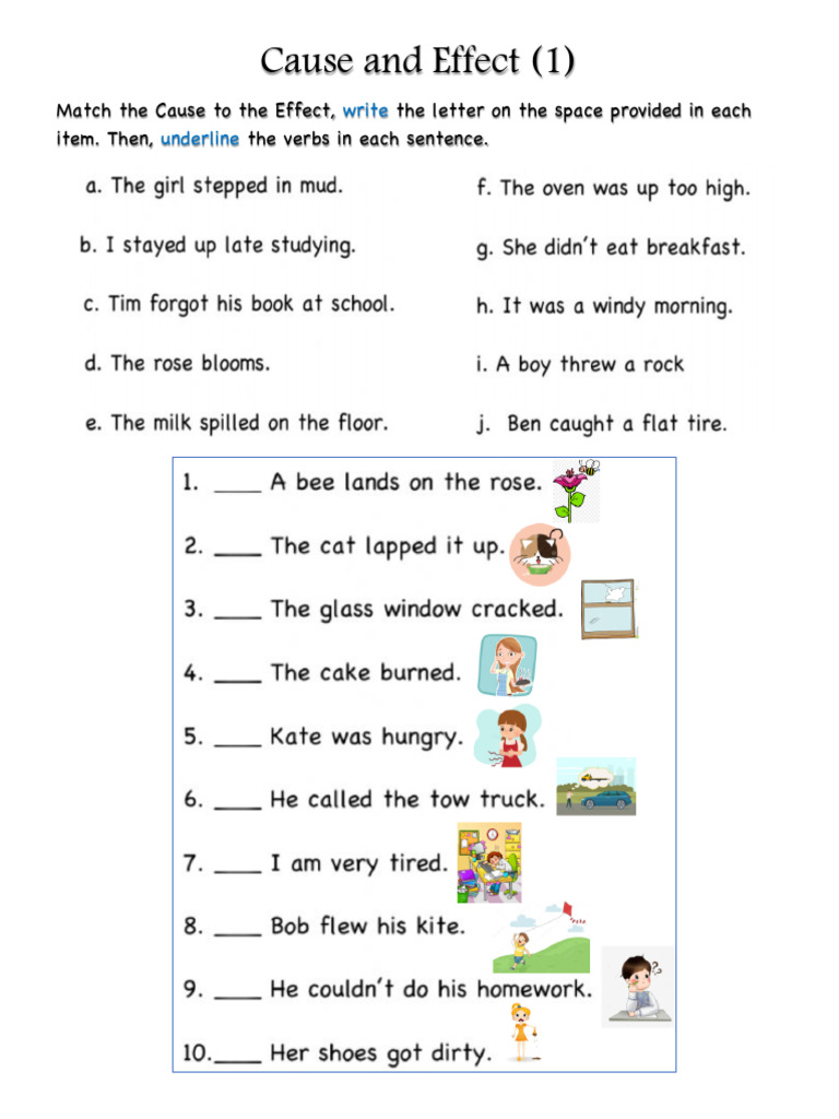 Cause - Effect | PDF