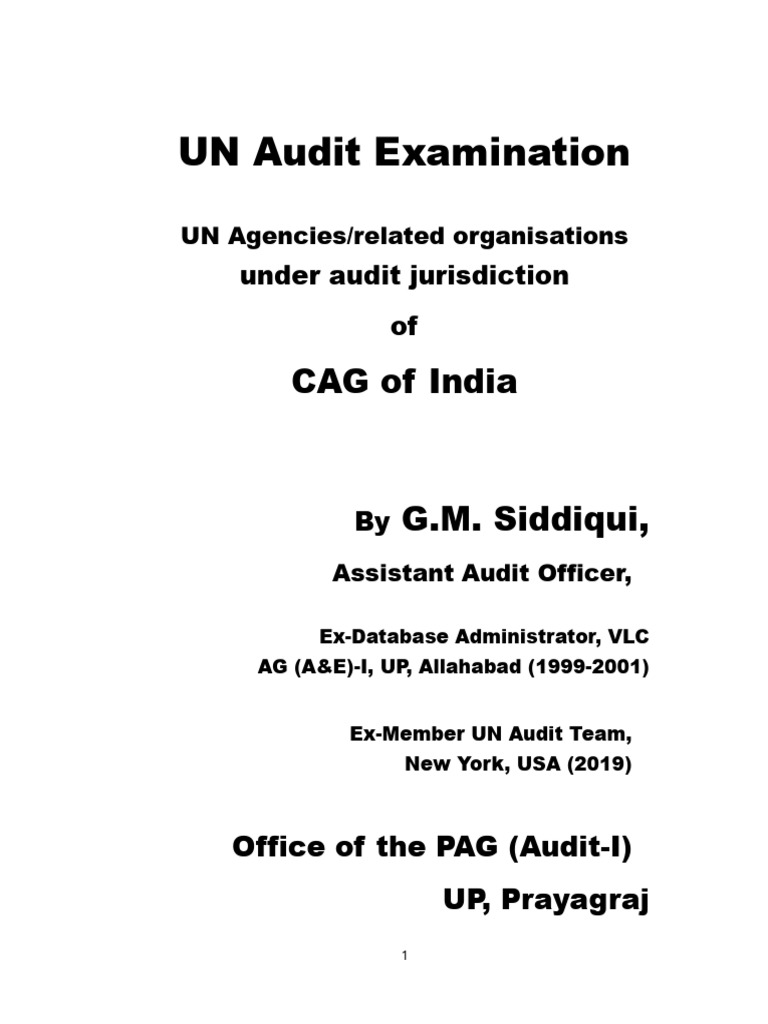 4 - UN Agencies Under CAG Audit | PDF