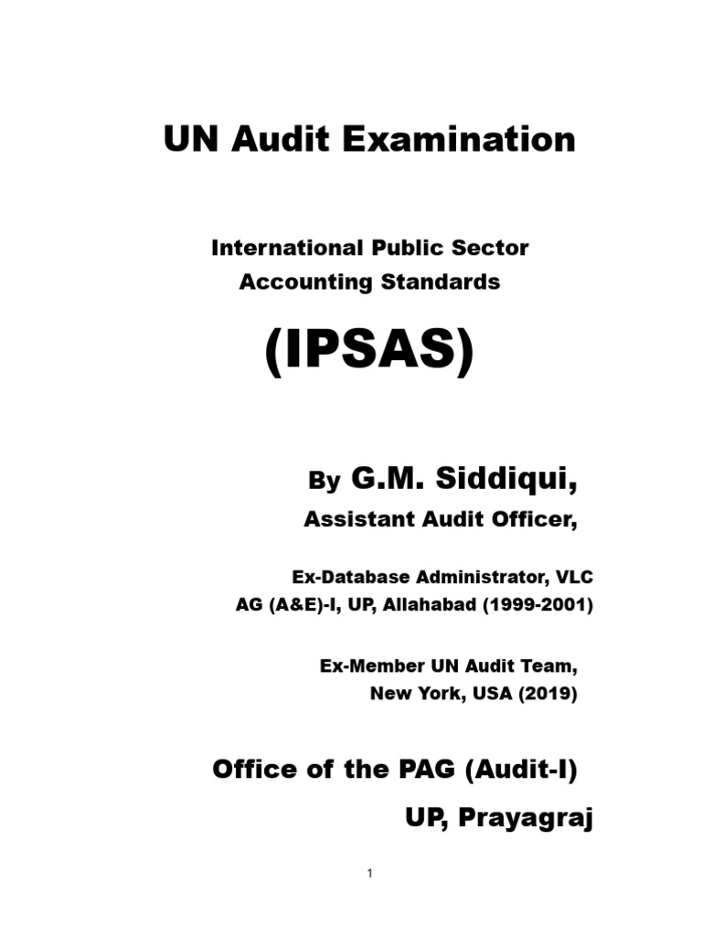UN Audit Examination of IPSAS Compliance | PDF