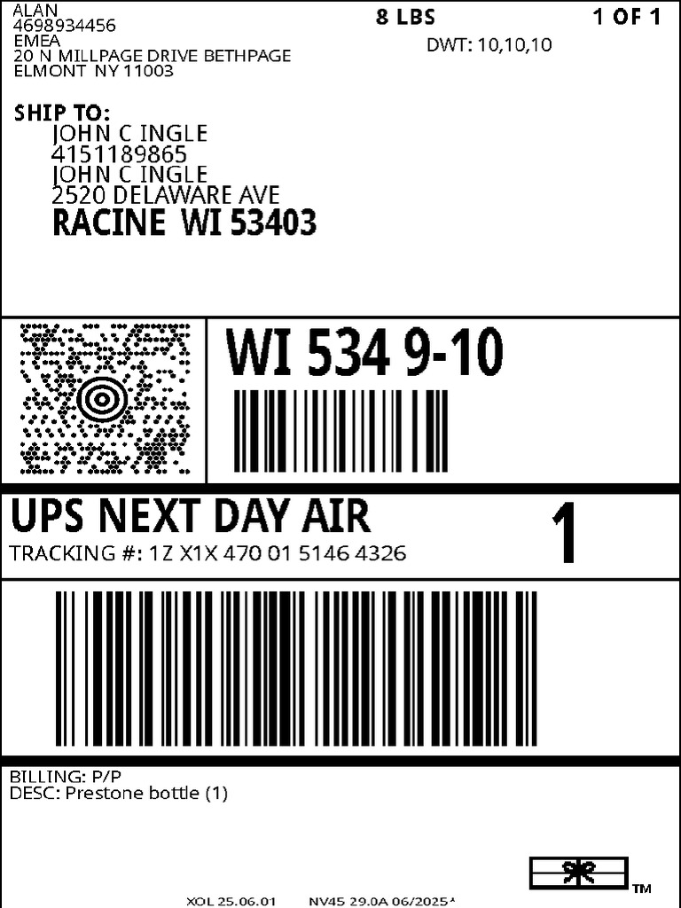 06 02 2025 Ups Next Day Air Original 1 | PDF