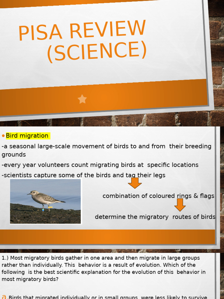 PISA Review | PDF | Bird Migration | Sunscreen