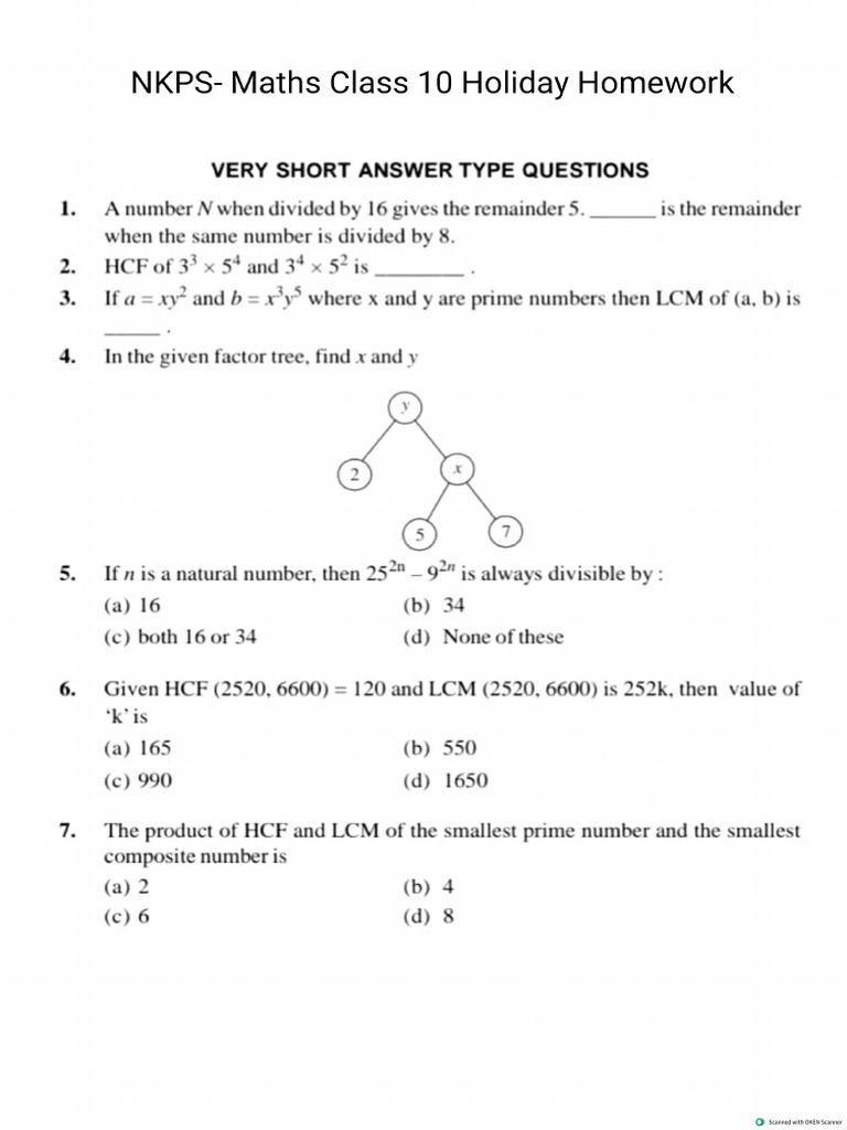Maths Holiday Homework | PDF