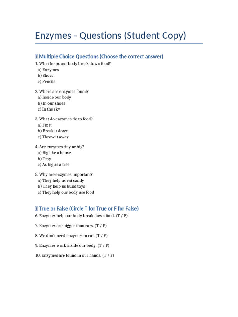 Enzymes Questions Student | PDF