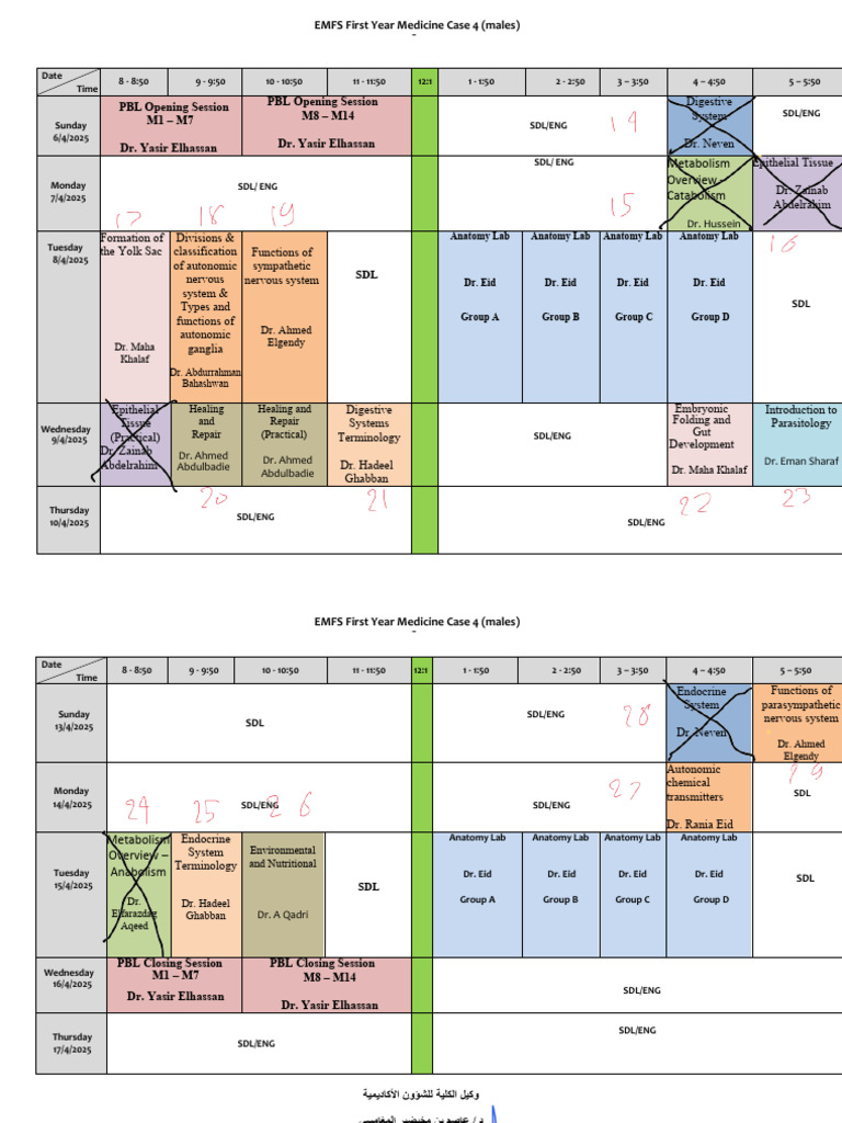 EMFS Male Timetable Year 1 Case 4 | PDF | Autonomic Nervous System ...