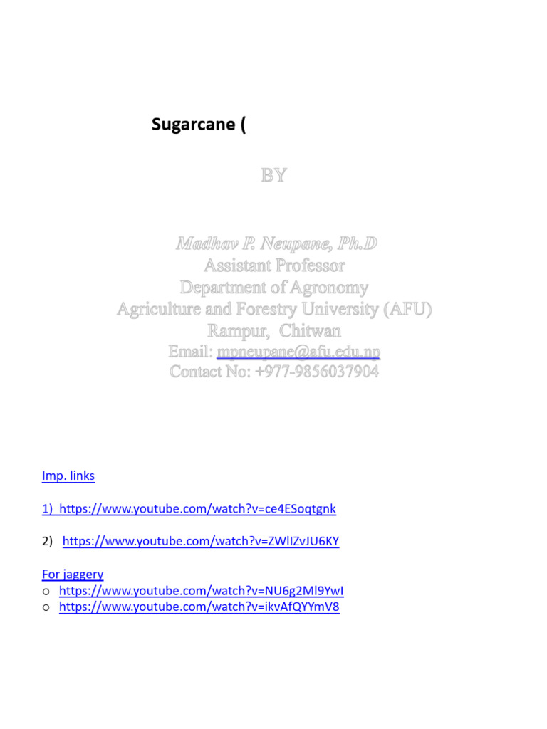Blind Hoeing Techniques for Sugarcane | PDF | Sugarcane | Plough
