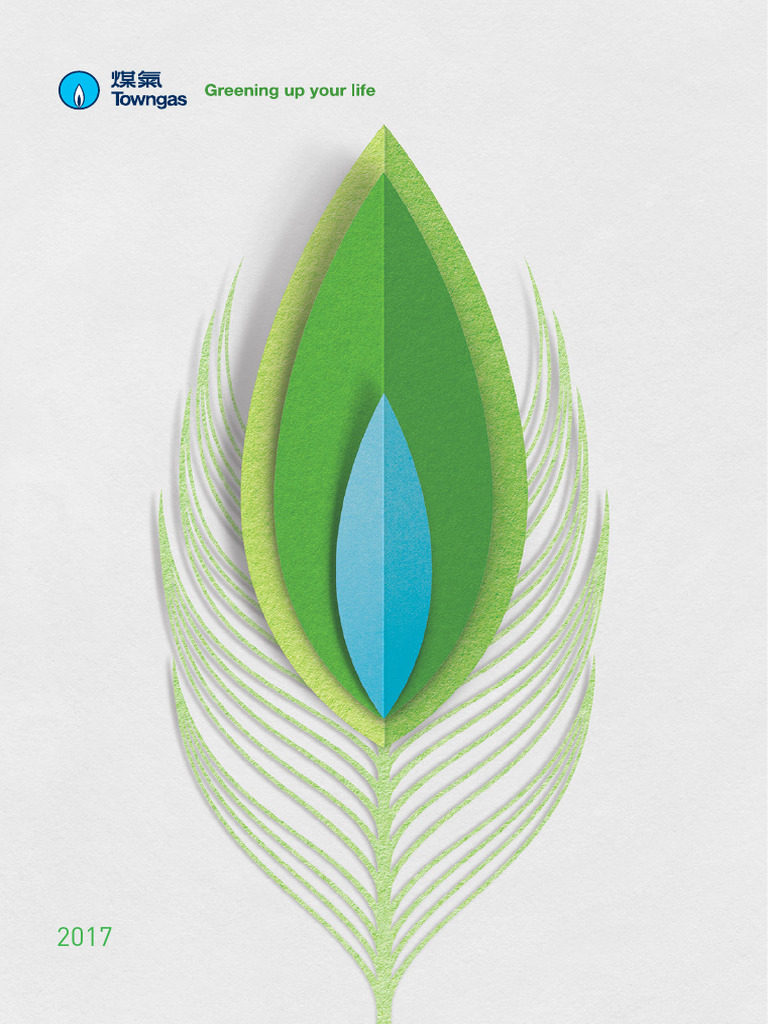 Towngas Sustainability Report 2017 | PDF | Natural Gas | Governance