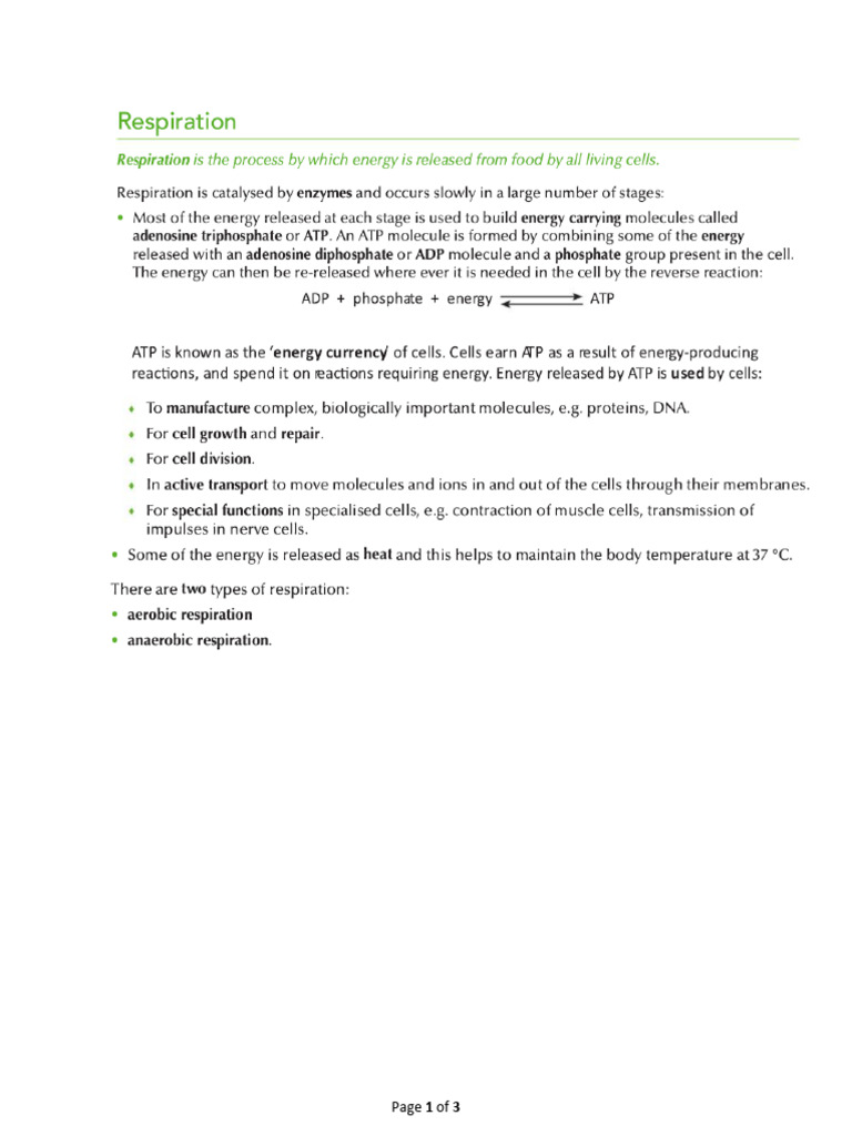 Respiration Notes | PDF