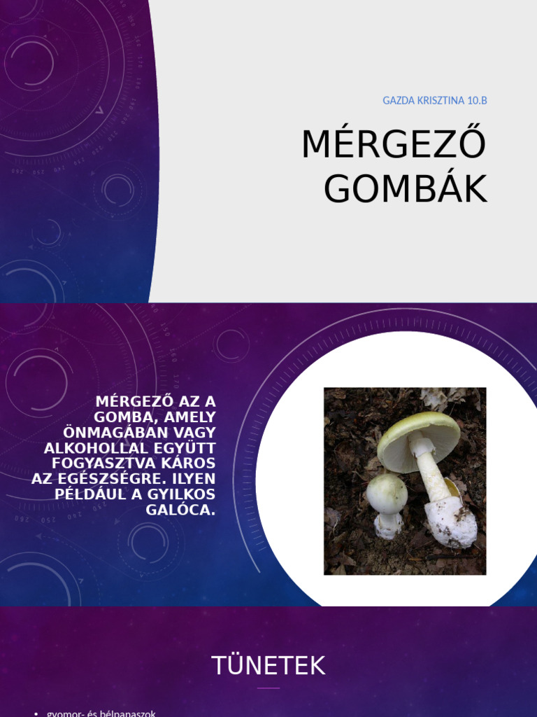 Mérgező Gombák | PDF