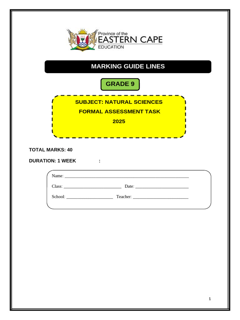 2025 Ns Grade 9 Practical Task Marking Guidelines | PDF | Combustion ...