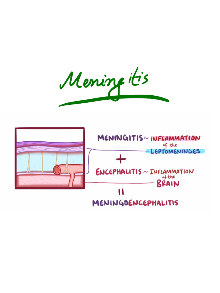 Meningitis Notes | PDF | Meningitis | Physiology