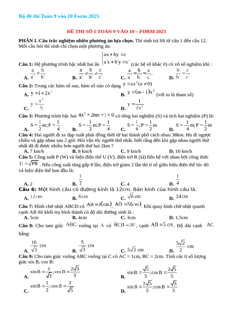 De Thi Toan 9 Vao 10 Form 2025 | PDF